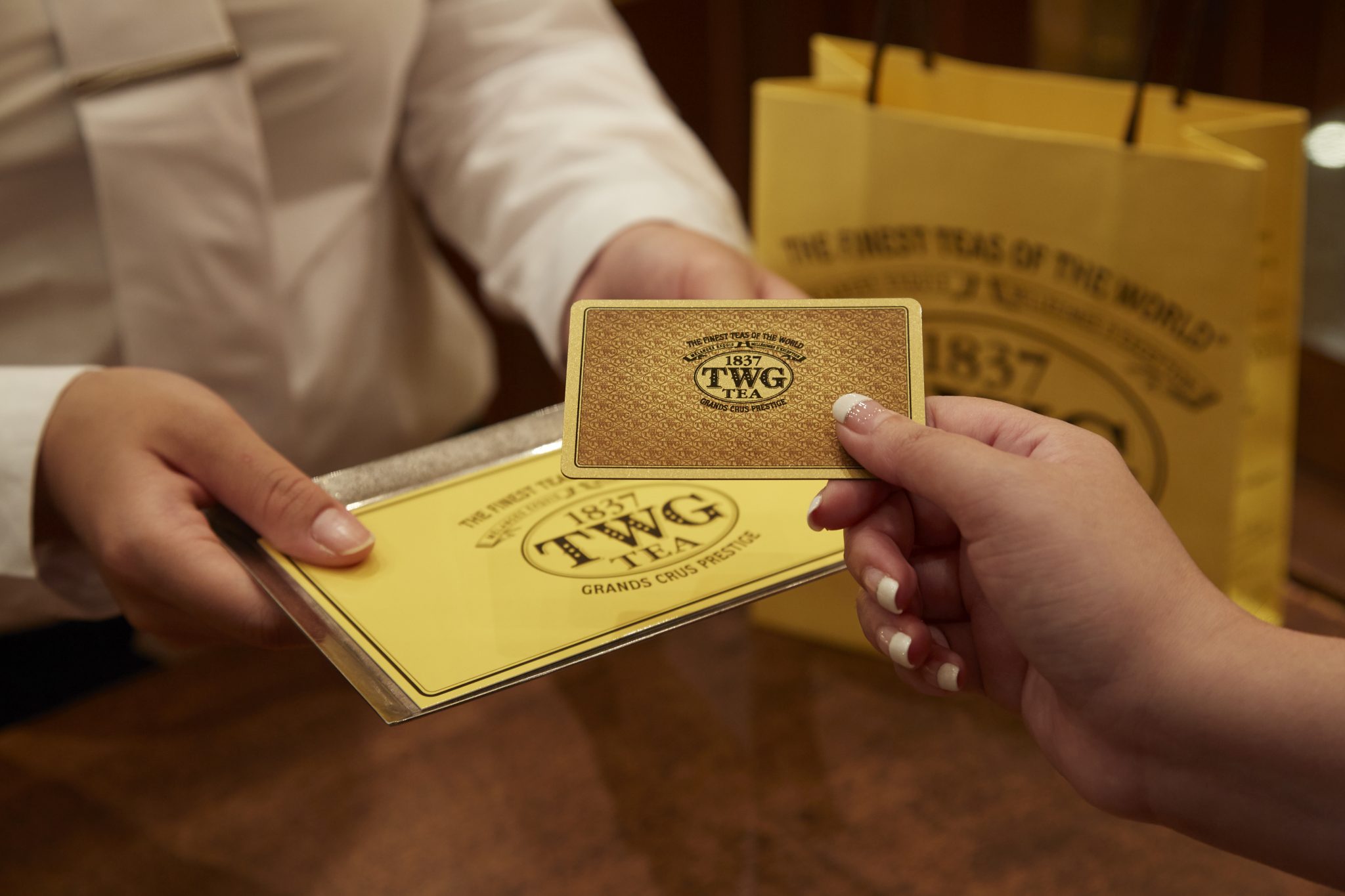 Celebrate TWG Tea's 10th Anniversary - Men's Folio